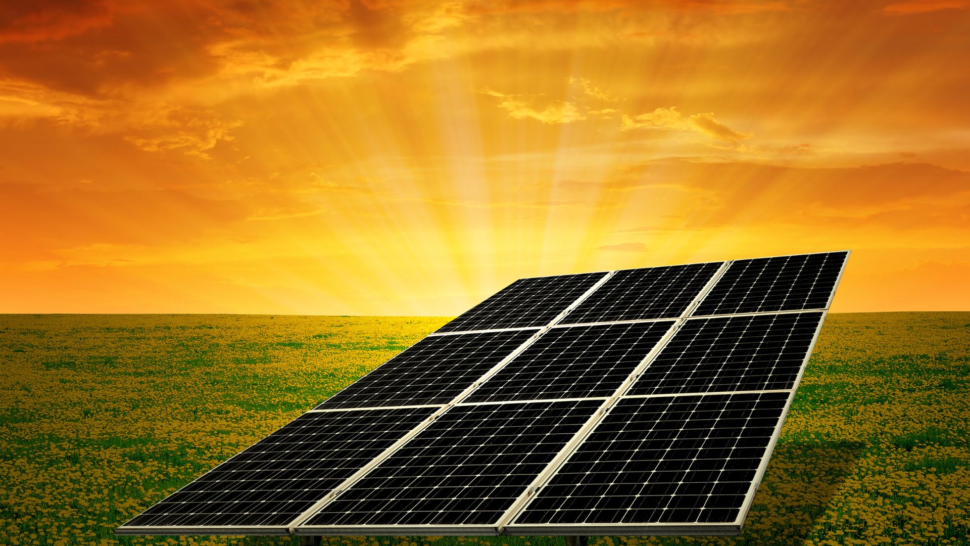 How Solar Energy Works: A Beginner's Guide